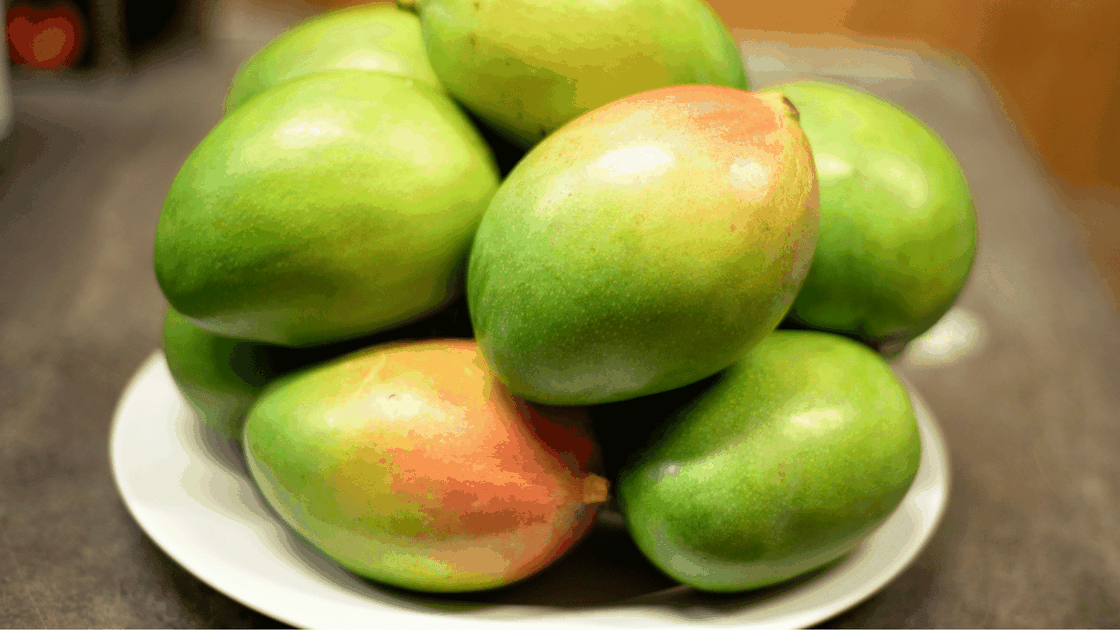 Mango, proprietà e uso di un potente alleato della salute - LifeGate