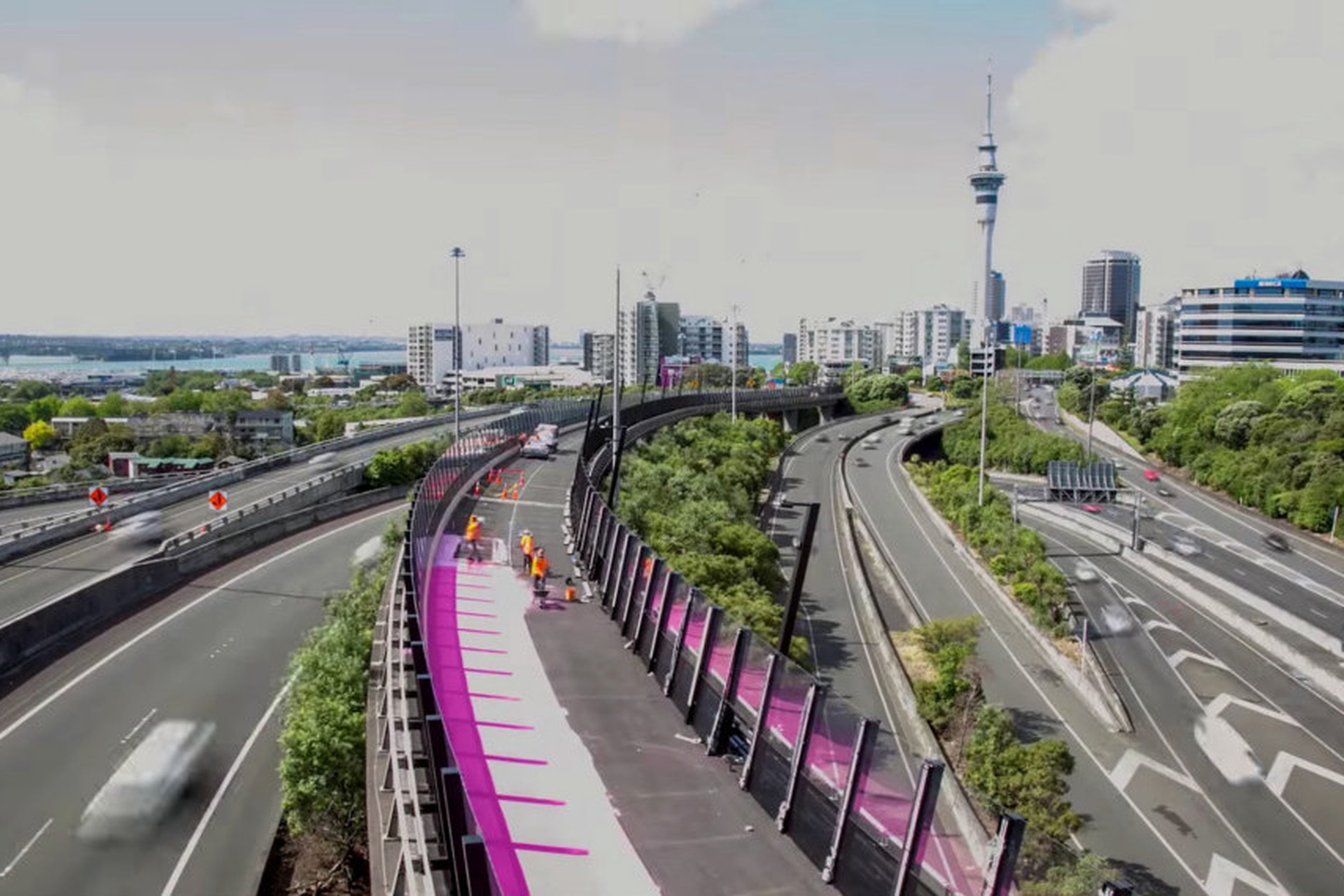 This pink cycling lane in New Zealand amazed the world - LifeGate