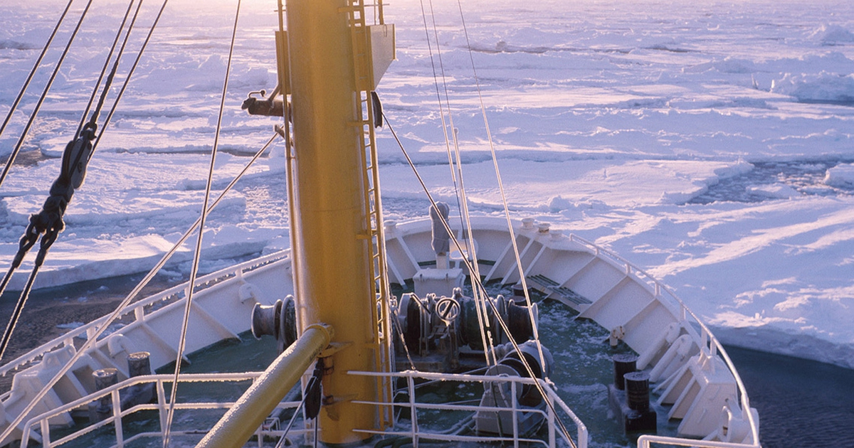 Restate comodi e venite con noi nella gelide acque dell'Antartide
