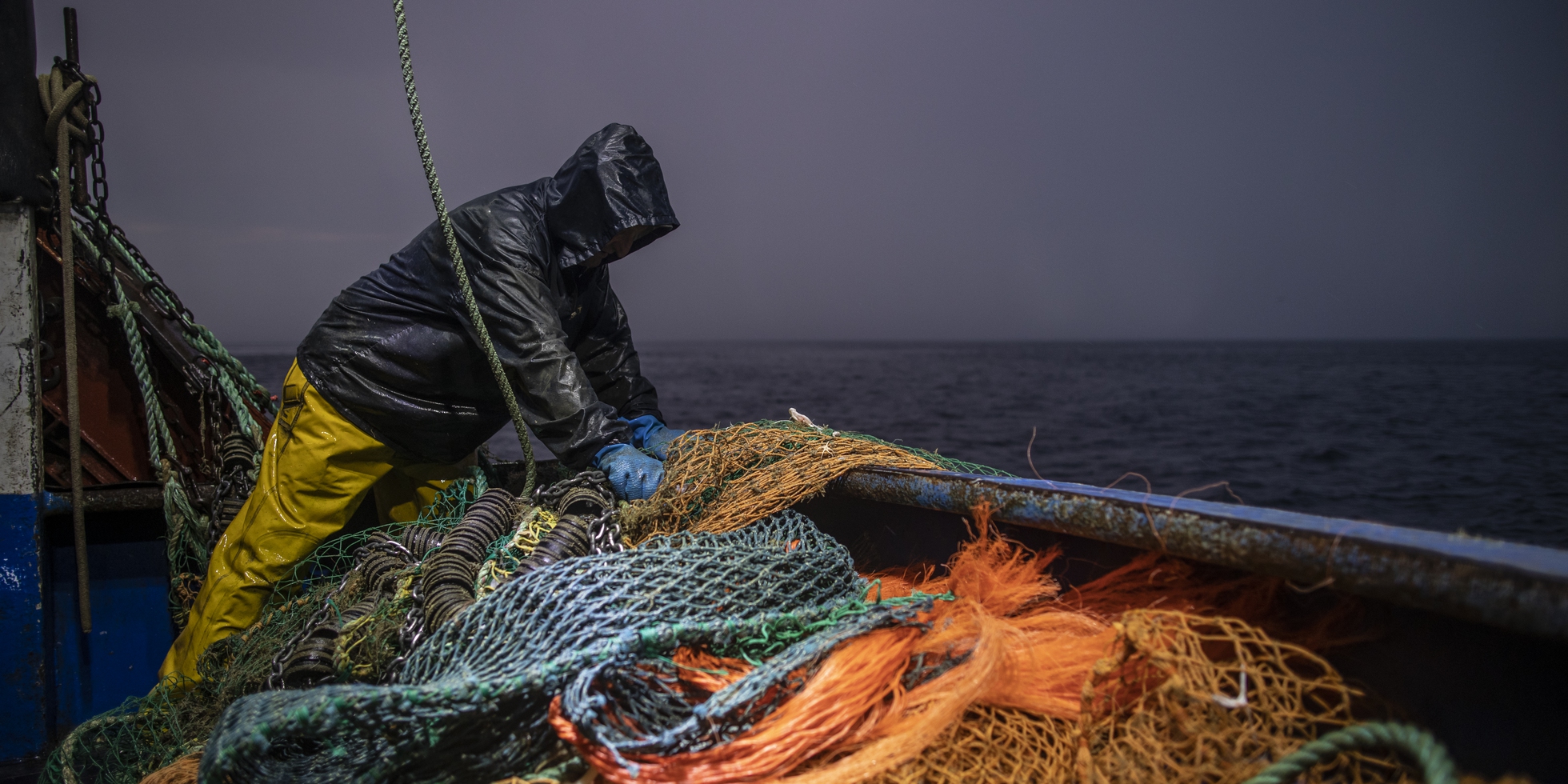 Perché la pesca a strascico causa emissioni di CO2 come il trasporto ...