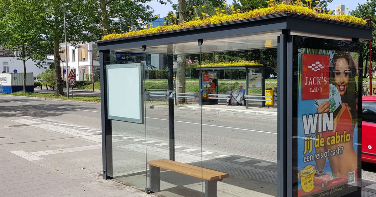 In questa città olandese le fermate dei bus hanno un tetto fiorito per ...