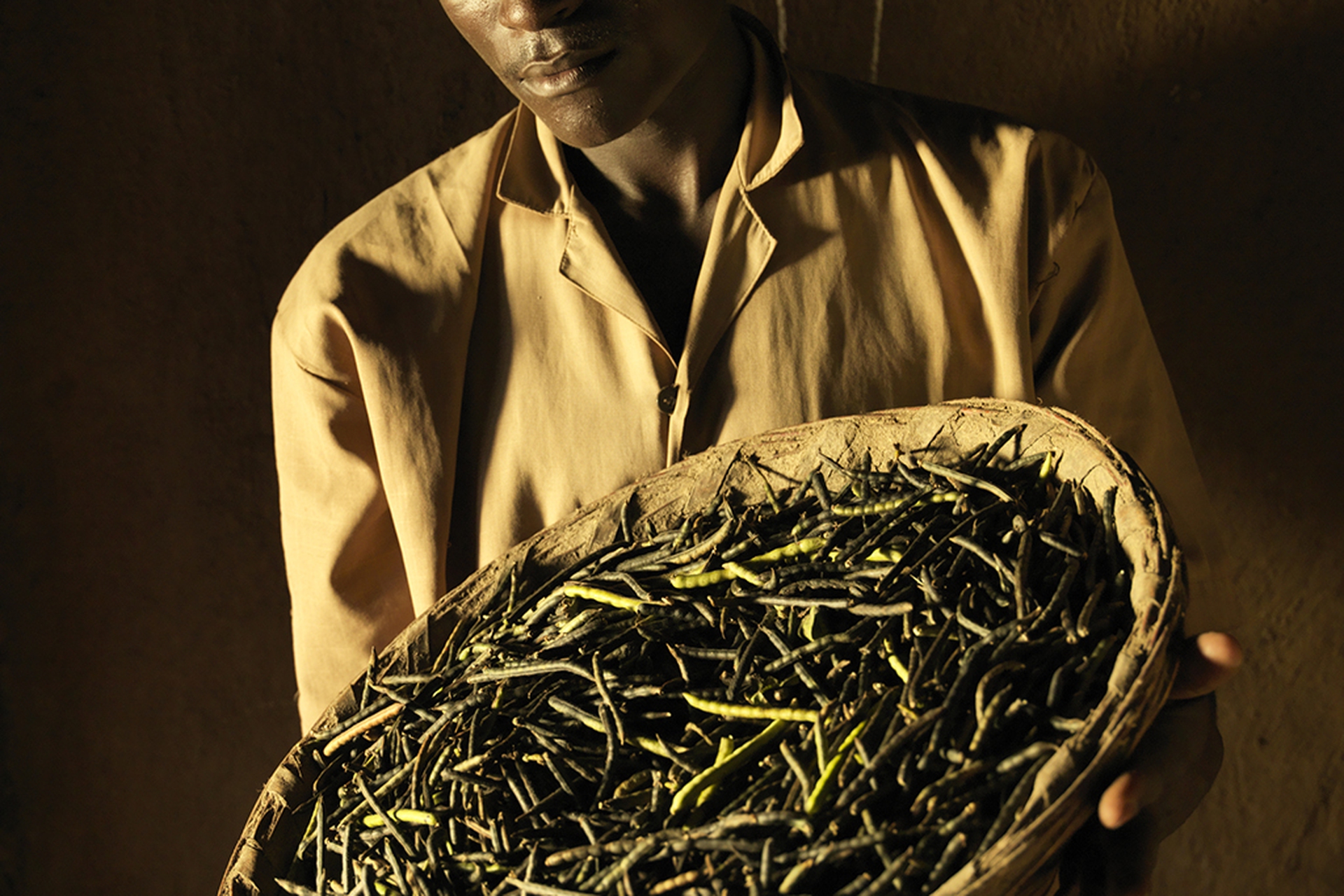 Food for life, Greenpeace exhibits sustainable farming - LifeGate