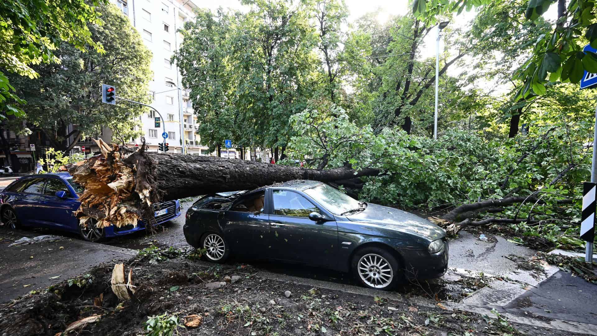 Cosa fare per difenderci dal meteo estremo: le precauzioni da prendere ... Cosa fare per difenderci dal meteo estremo: le precauzioni da prendere ...