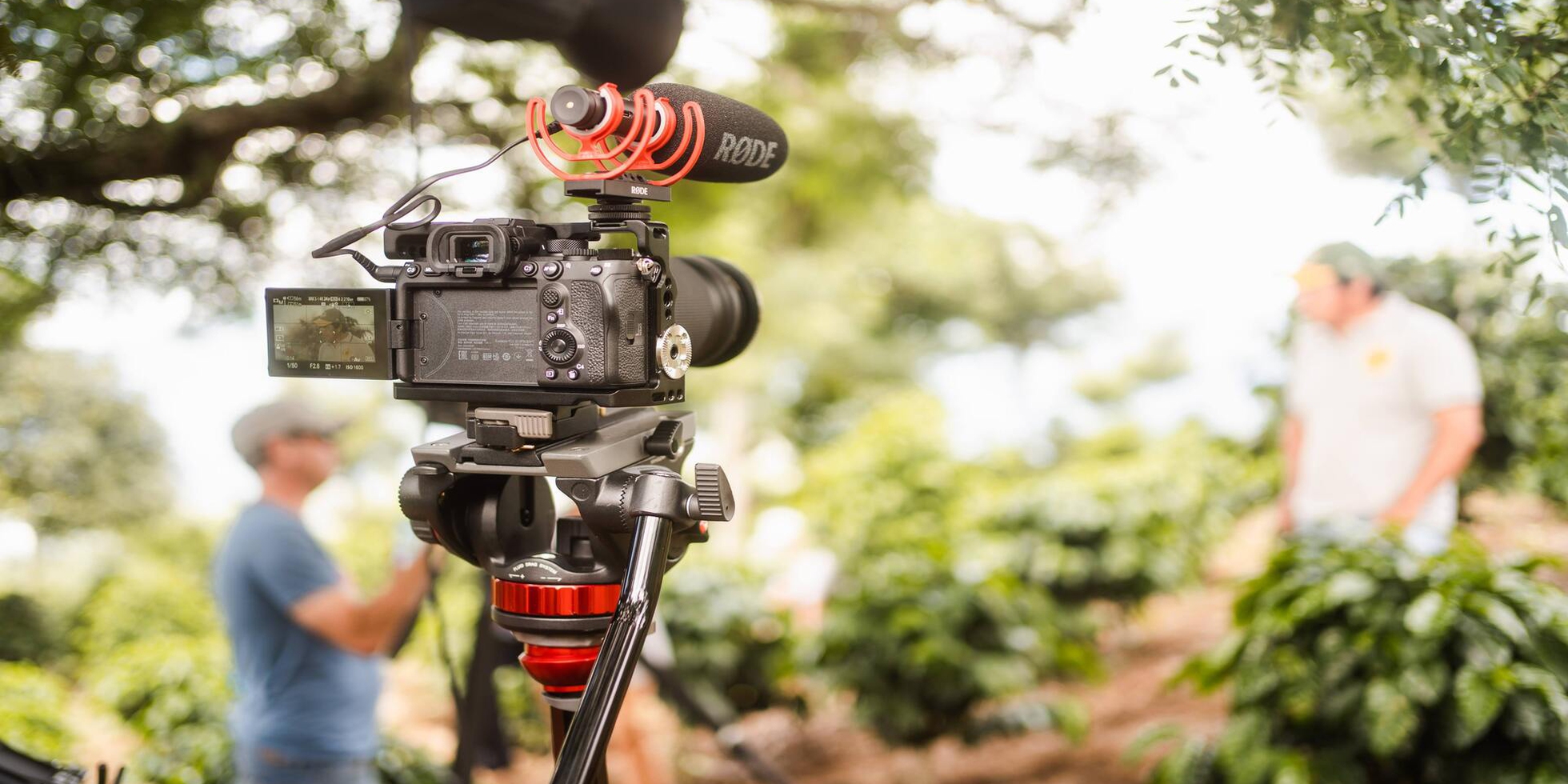 7 documentari naturalistici da vedere per essere più consapevoli - LifeGate
