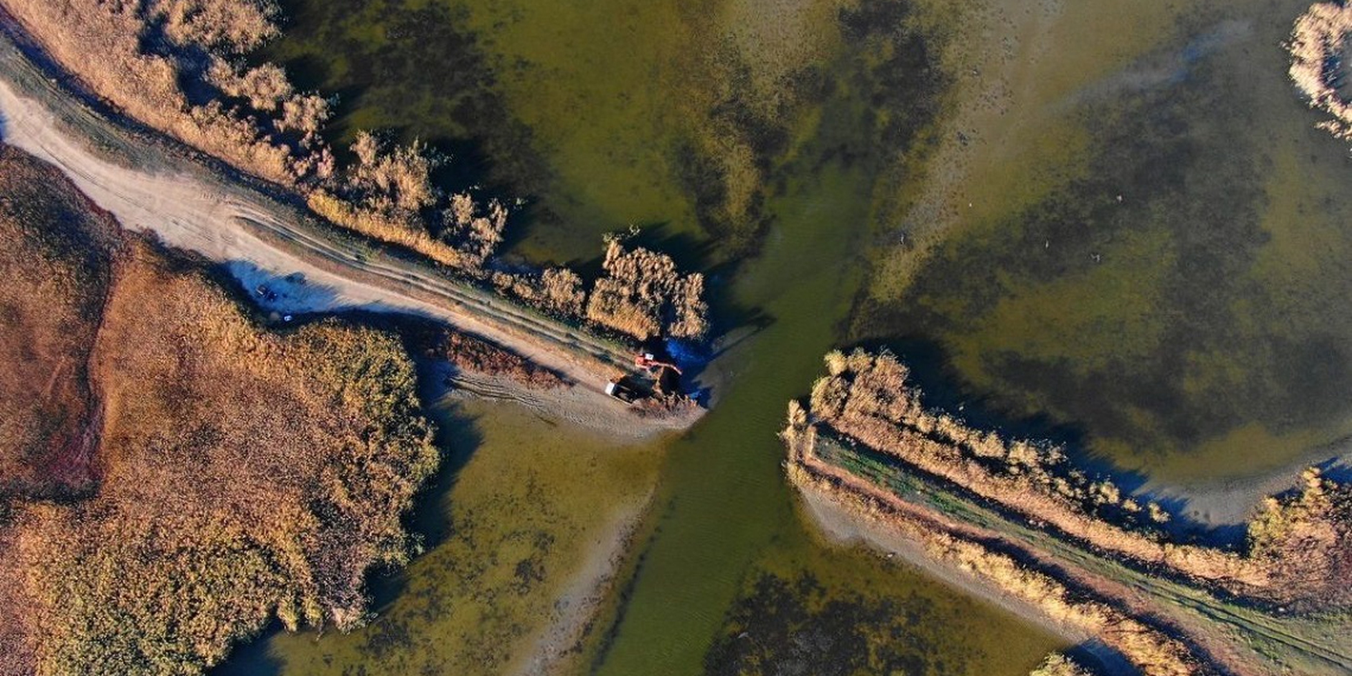 Ucraina, ora il delta del Danubio è ancora più selvatico: rimosse 10 ...