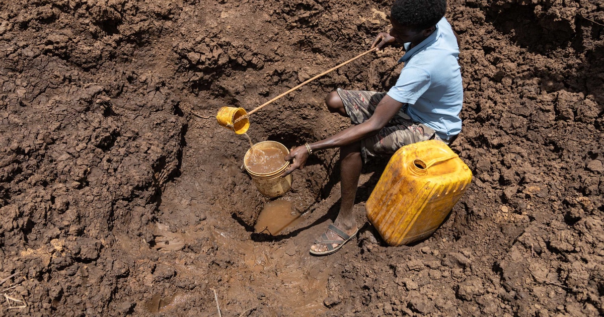 Borena, la terra senza pioggia. Il nuovo podcast di Valerio Nicolosi ci ...