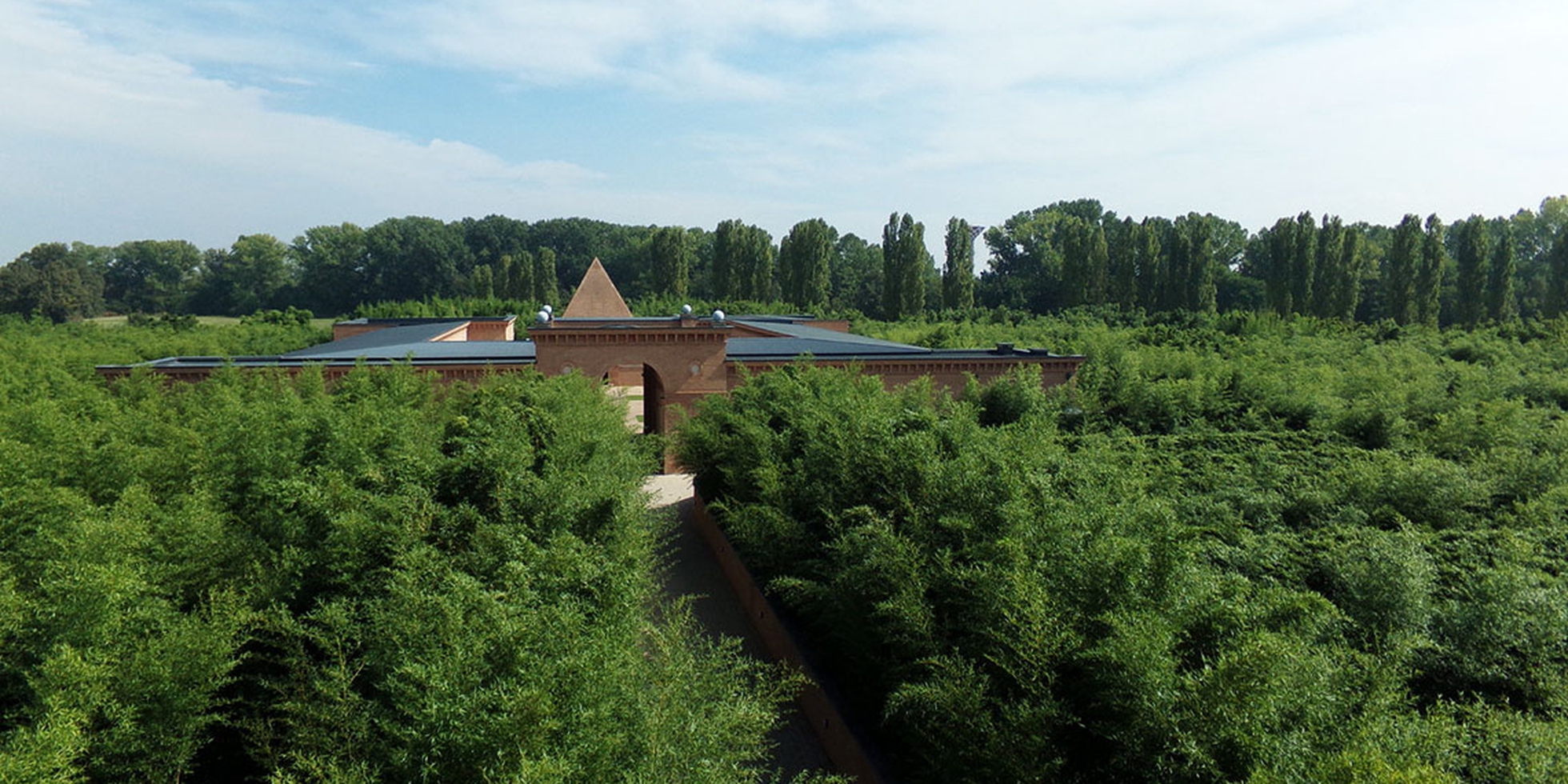 Under the bamboo tree, due giorni di eventi sul bambù nel labirinto più ...