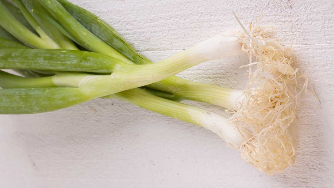 Porro o allium porrum: proprietà e ricette