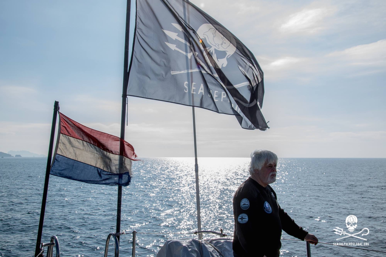 The story of Sea Shepherd, in Captain Alex Cornelissen's words - LifeGate
