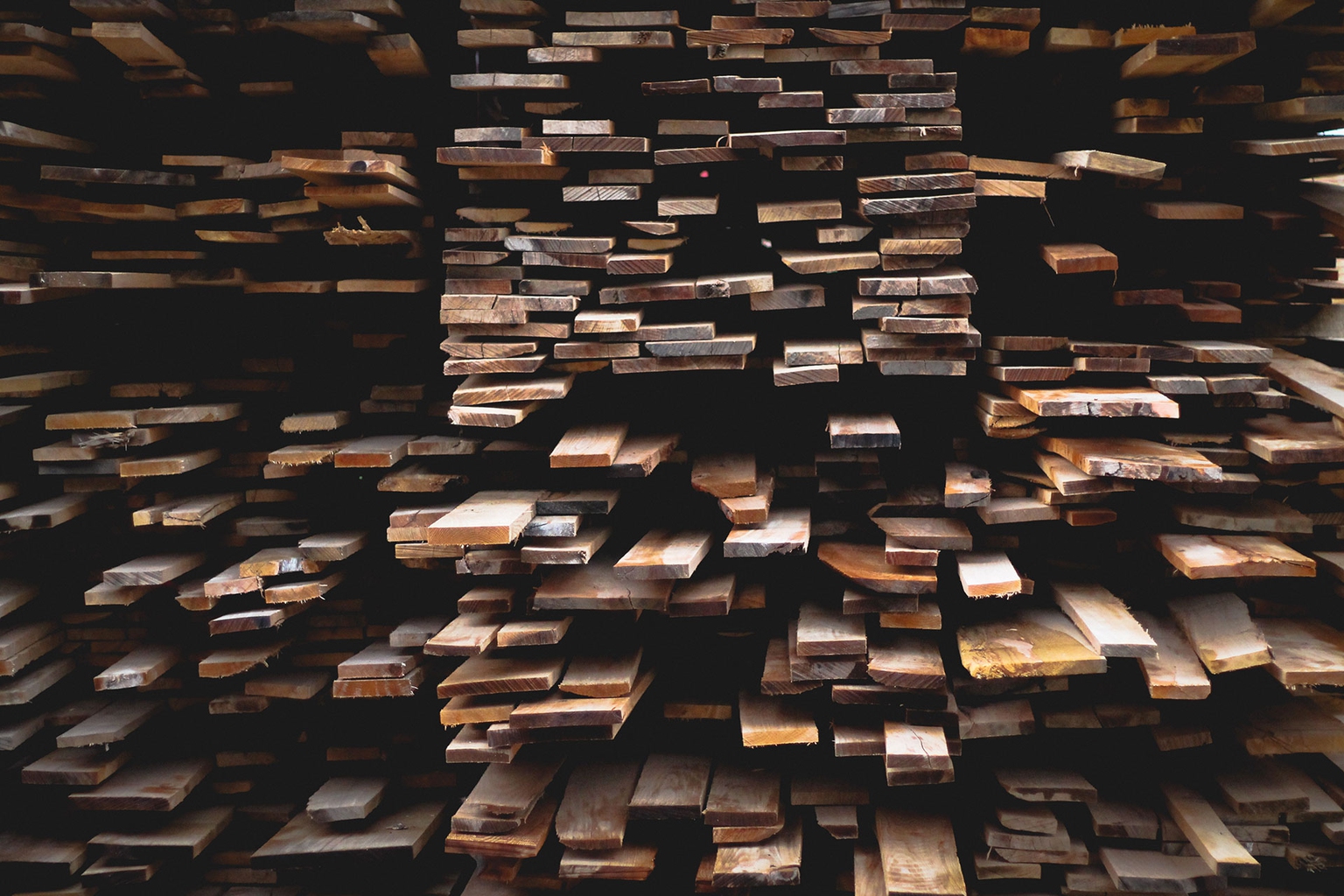 Time to realise the potential of sustainable wood for the Planet - LifeGate