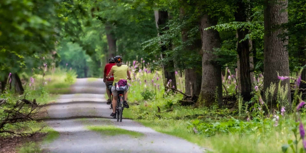Il giro d'Italia delle cure palliative pediatriche - LifeGate