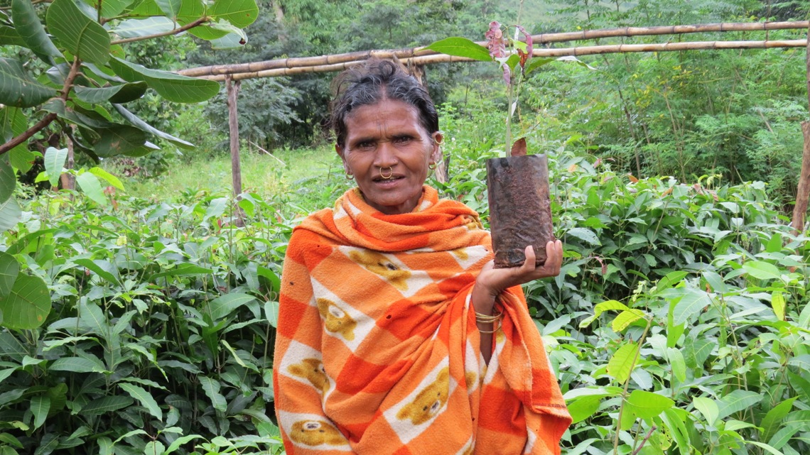 India, how indigenous farmers are developing climate resilient ...