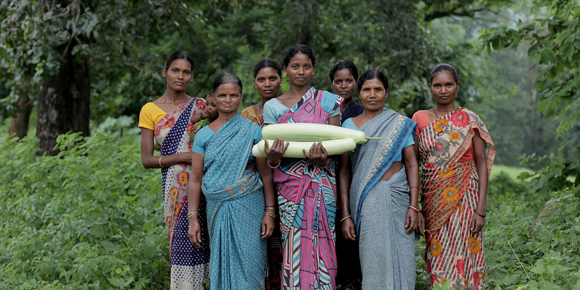 Organic farming is changing the lives of tribal peoples in India, and ...