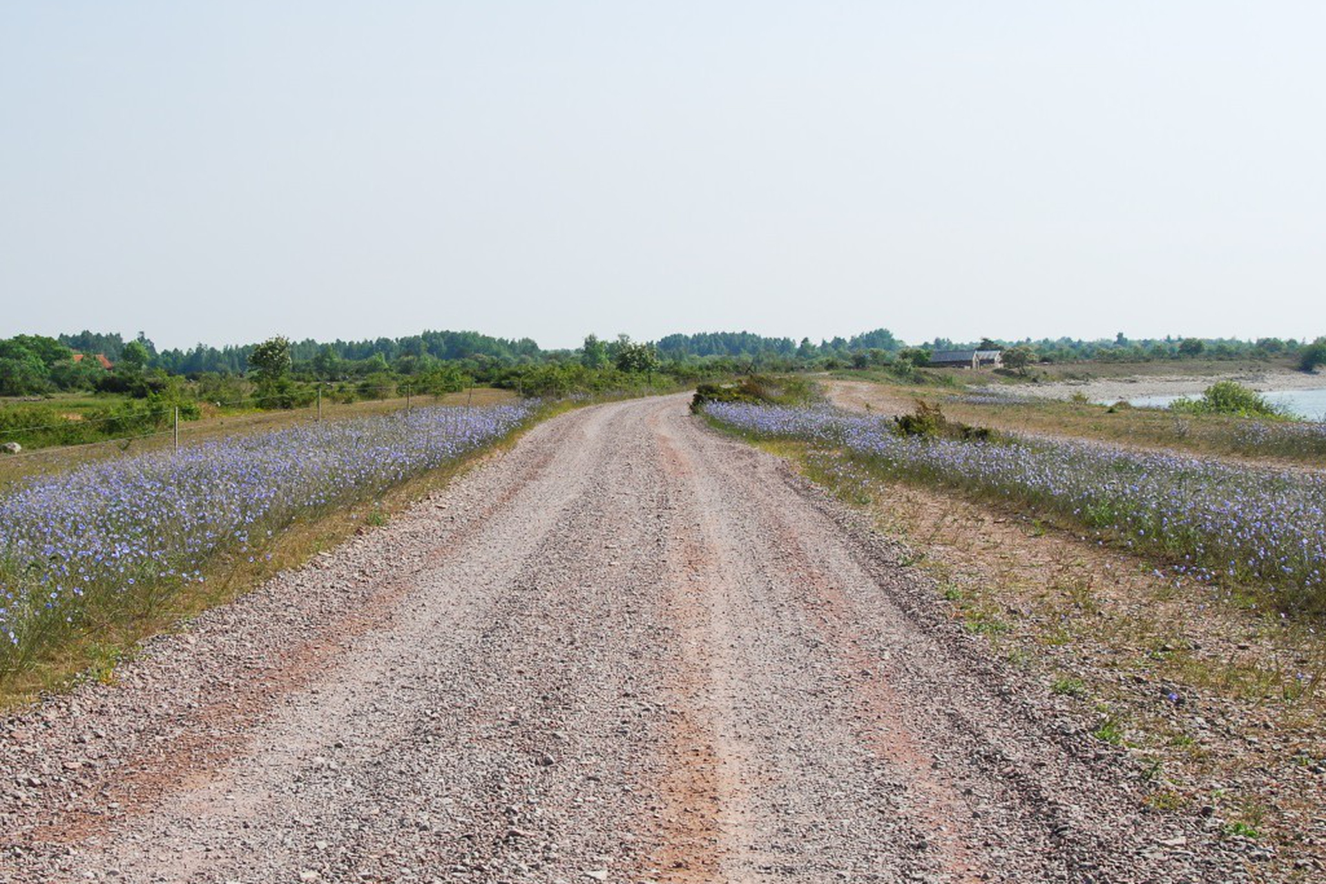 Il lino è una fibra naturalmente sostenibile, lo dimostra uno studio