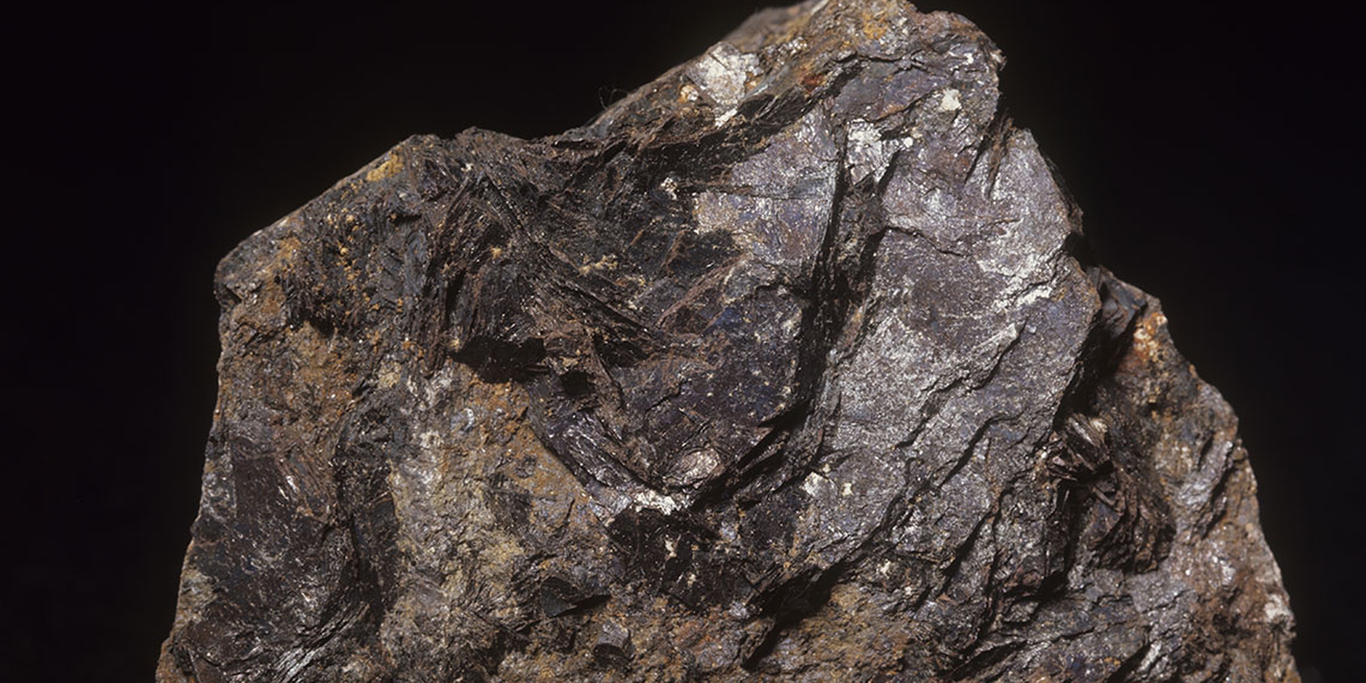Manganese: a cosa serve, proprietà e benefici