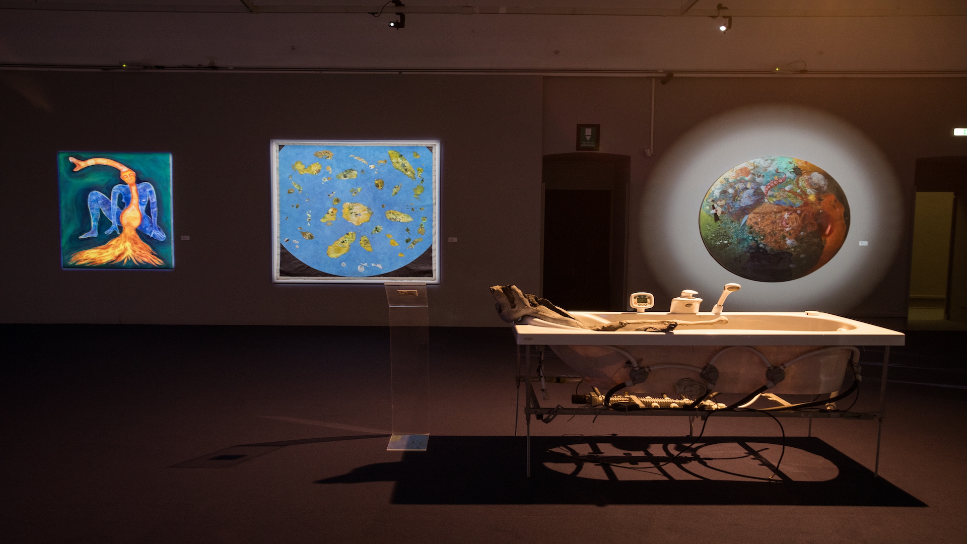 Giulia Cenci vince il Premio Cairo 2022 con il lupo nella vasca - LifeGate