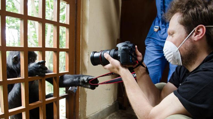 Virunga, the documentary presented at Tribeca Film Festival - LifeGate