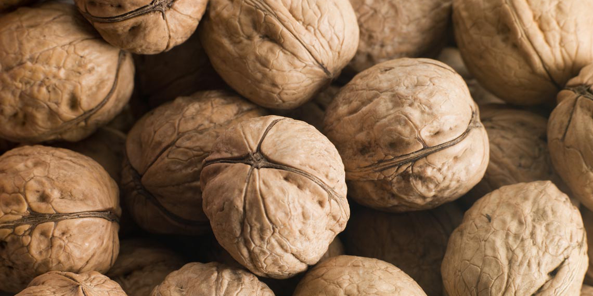 Noci: valori nutrizionali, benefici e ricette - LifeGate