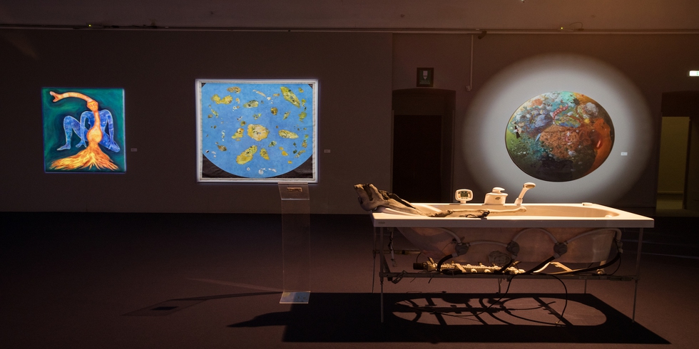 Giulia Cenci vince il Premio Cairo 2022 con il lupo nella vasca - LifeGate