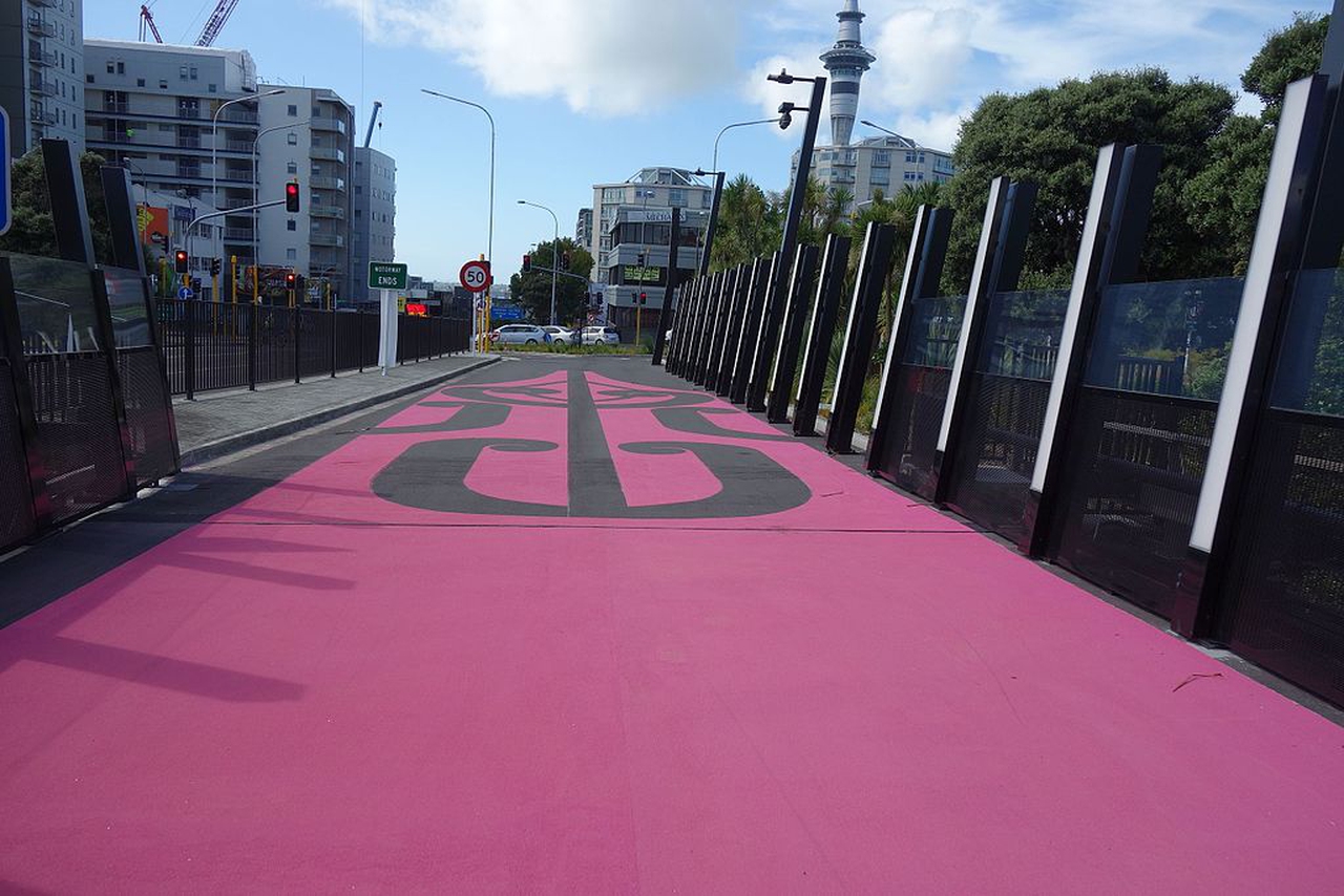 This pink cycling lane in New Zealand amazed the world - LifeGate