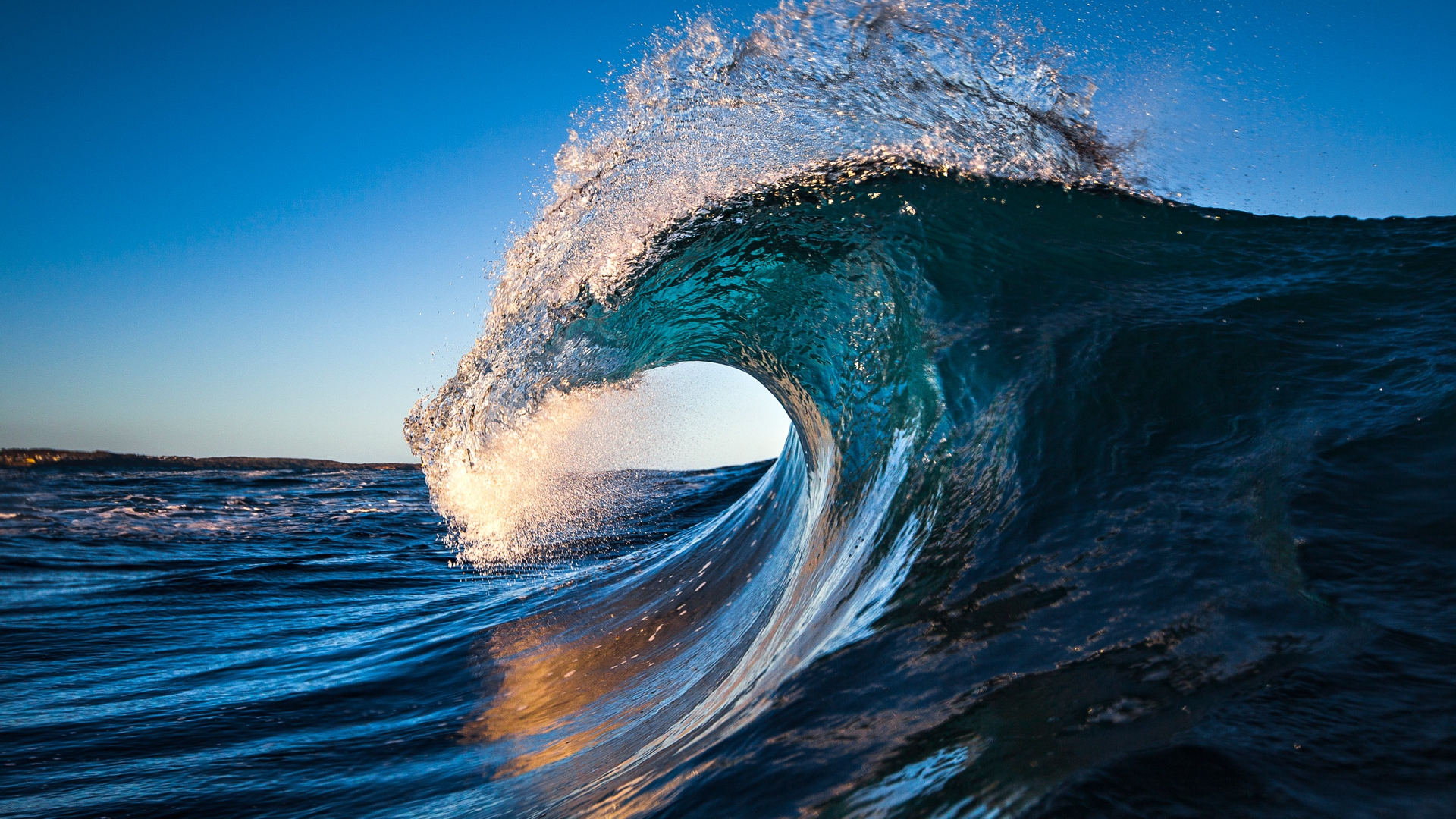 Why is water important? Glossary: instinct and matter - LifeGate