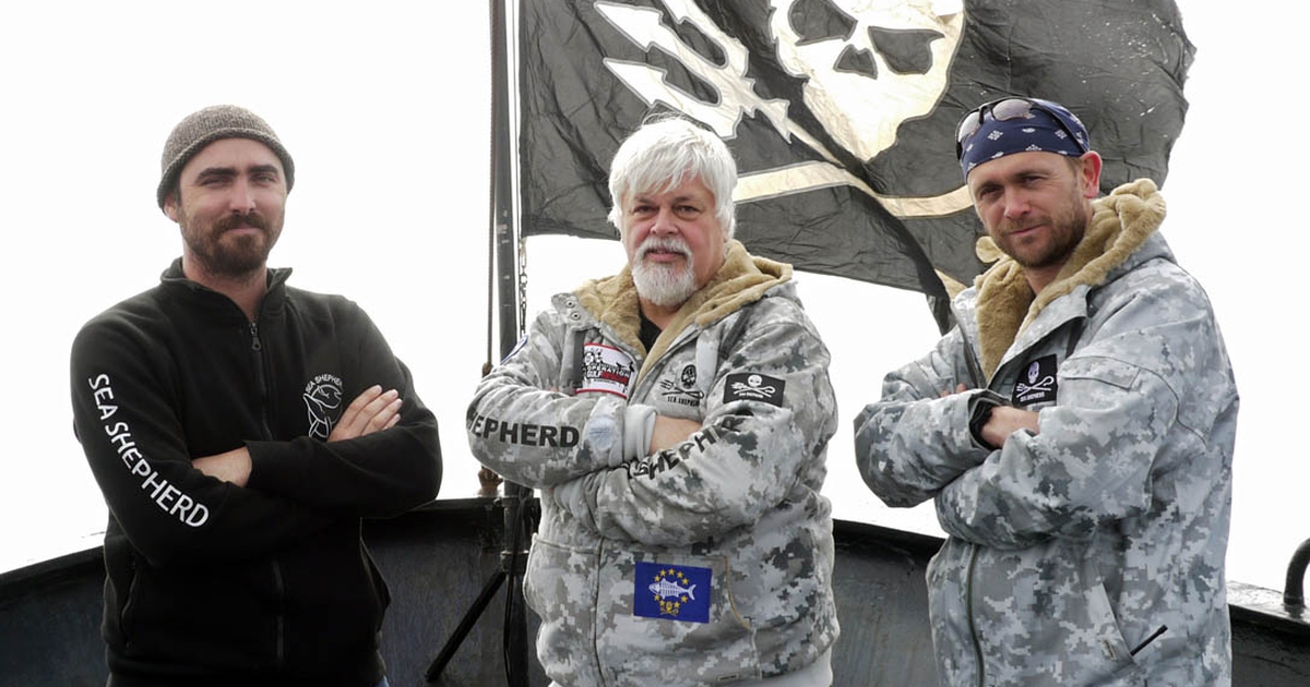 Paul Watson, fondatore di Sea Shepherd, è stato arrestato - LifeGate