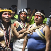 Leydy Pech, the Mayan beekeeper who defeated Monsanto - LifeGate