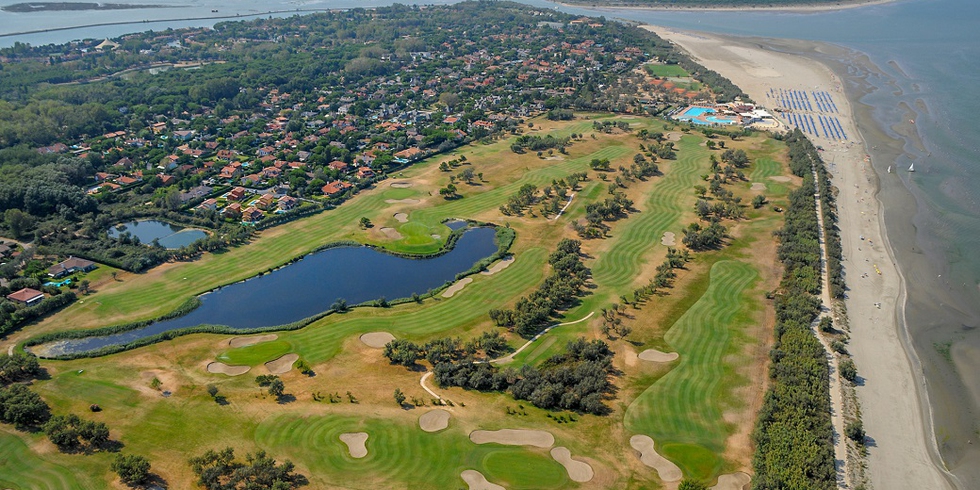 Albarella, l'isola scrigno di biodiversità e tranquillità, ora anche ...