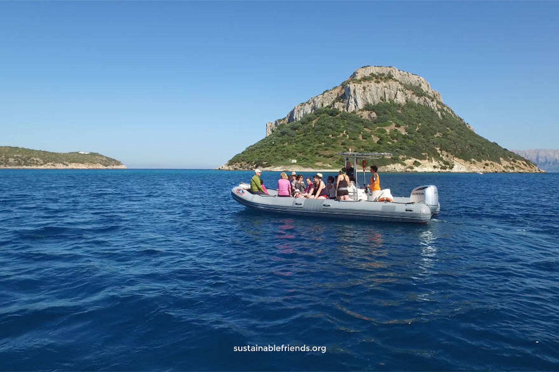 Come vedere i delfini in modo sostenibile a Golfo Aranci, in Sardegna