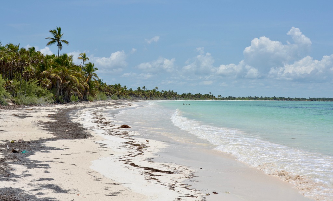 Corona x Parley - LifeGate