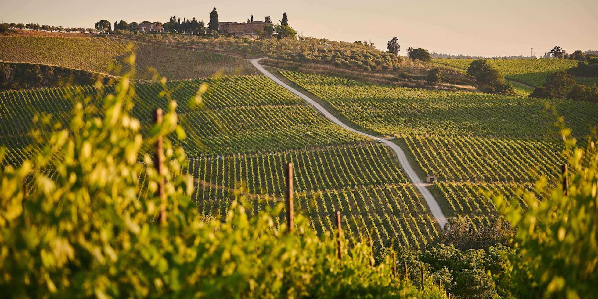 Sharewood: cinque mete per vivere esperienze originali, in Italia- LifeGate