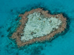 The Great Barrier Reef and Reef 2050: Greenpeace's 5 NOs - LifeGate