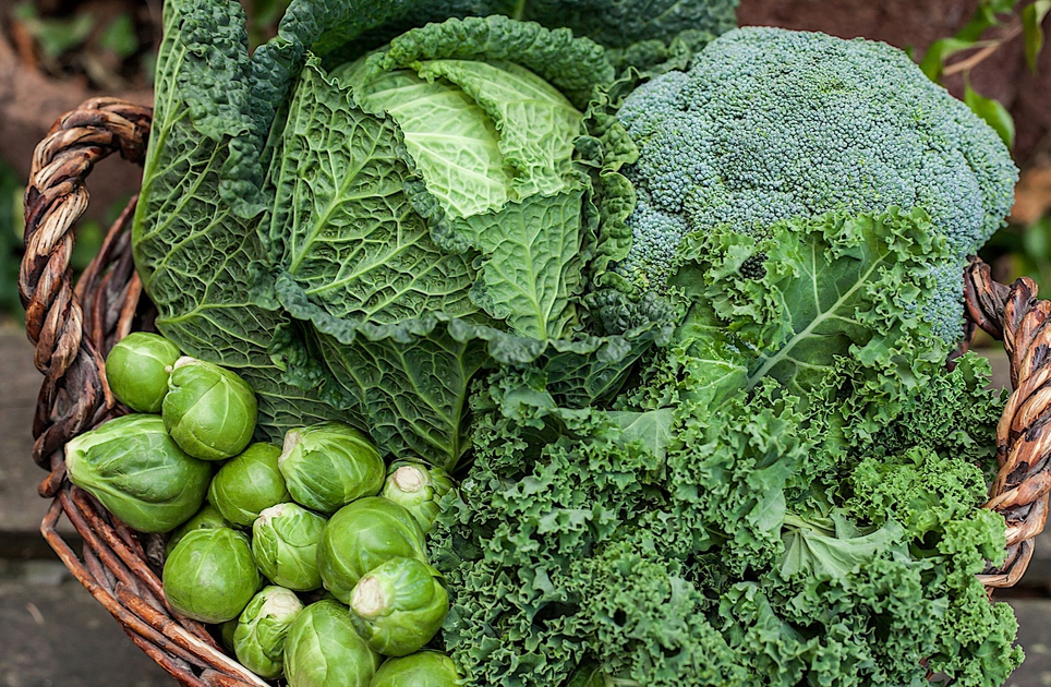 Cavoli, caratteristiche, proprietà e benefici di una grande famiglia ...