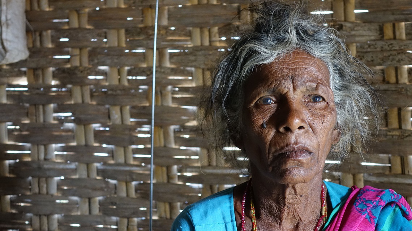 India, la tribù dei Chenchu rischia lo sfratto dalla riserva delle ...