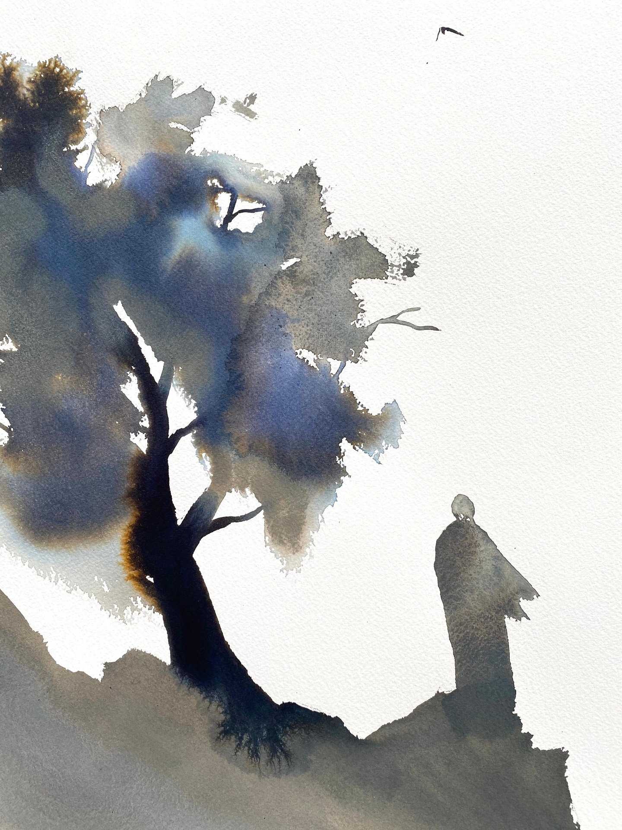 Nicola Magrin, il pittore che racconta la natura con gli acquerelli ...