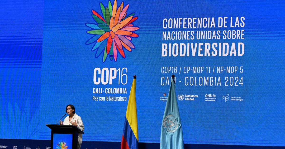 Prende il via in Colombia la Cop16 sulla biodiversità: gli obiettivi e ...