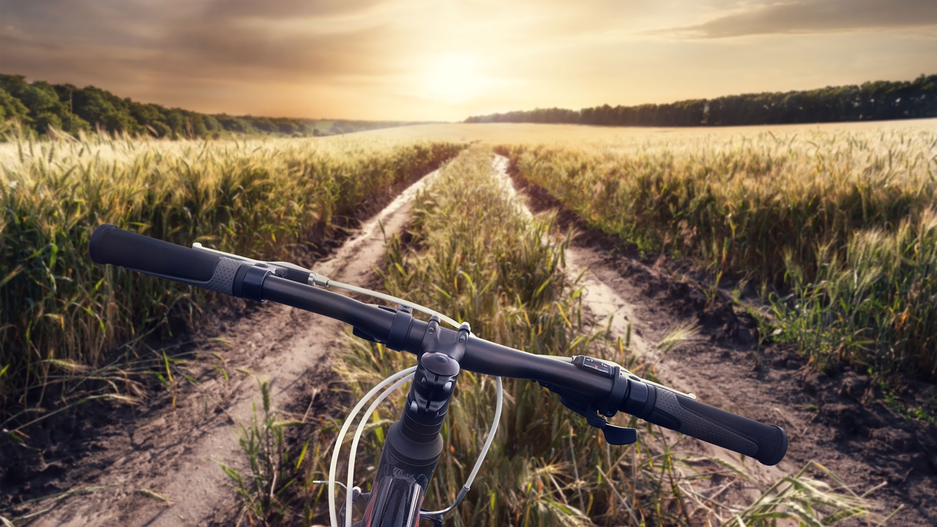 Terra, quando l'e-bike si ricarica con l'energia solare - LifeGate