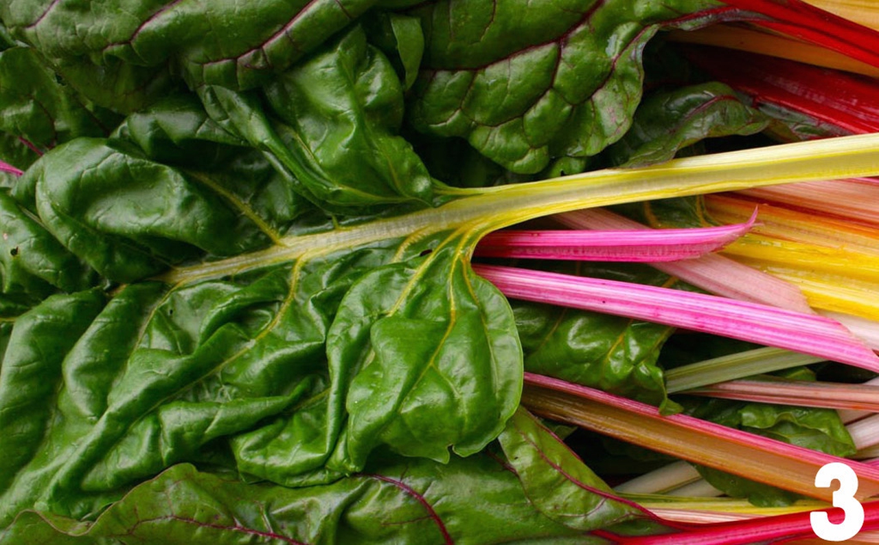 41 powerhouse fruits and vegetables low in calories - LifeGate