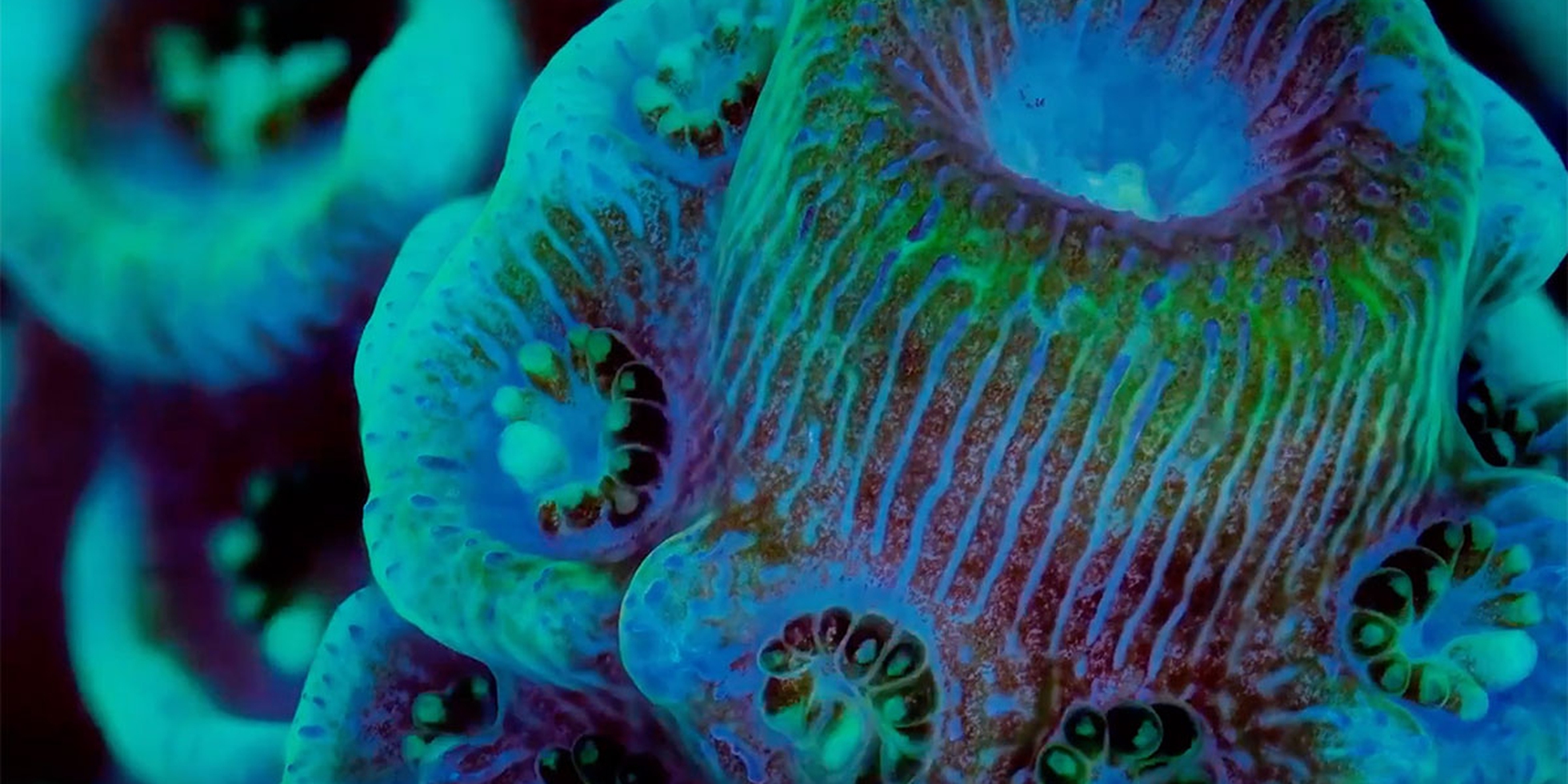 Anthropocene, the human epoch in the words and photos of Edward ...