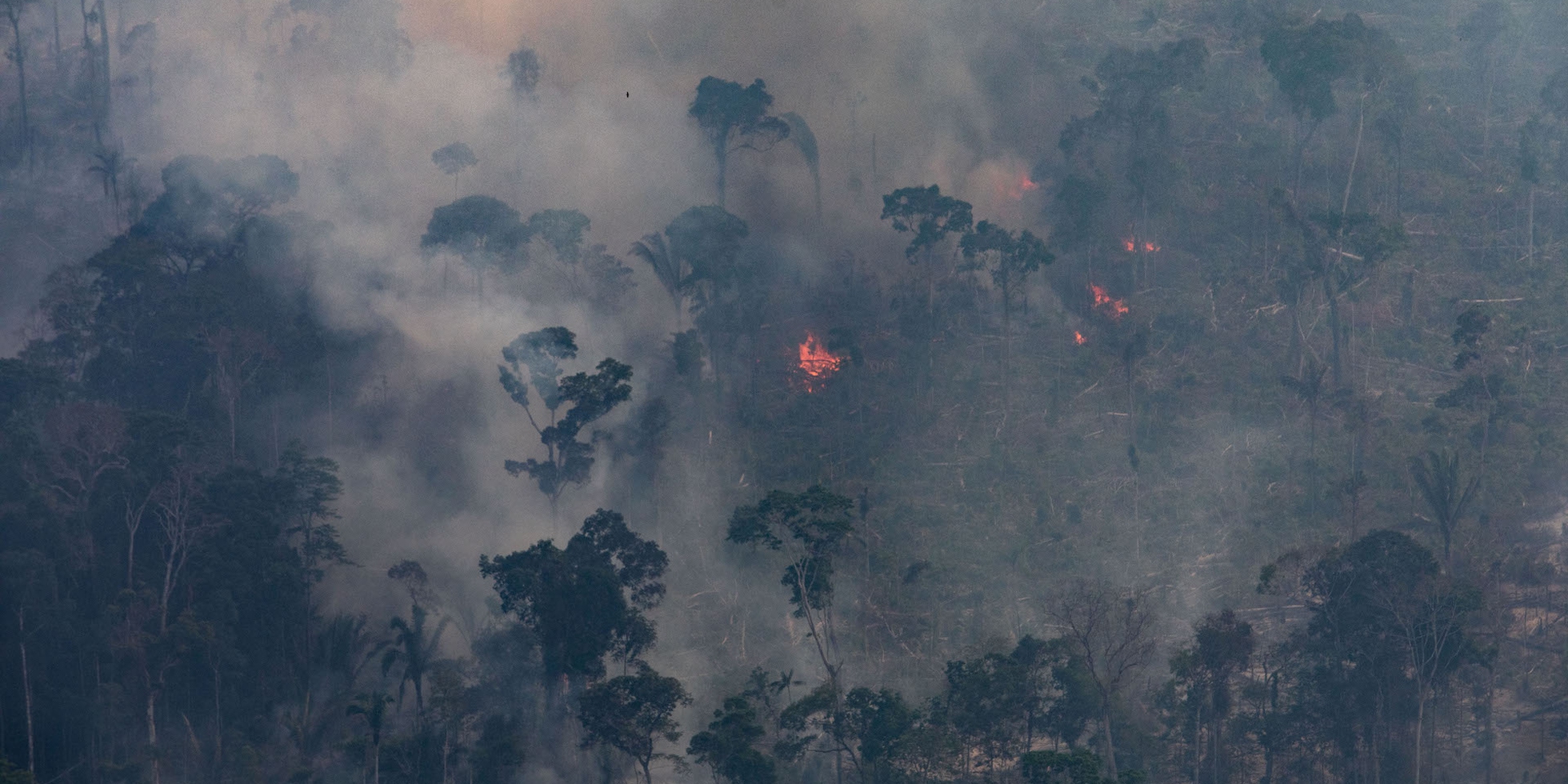 Brasile, record di incendi a maggio nella foresta amazzonica - LifeGate