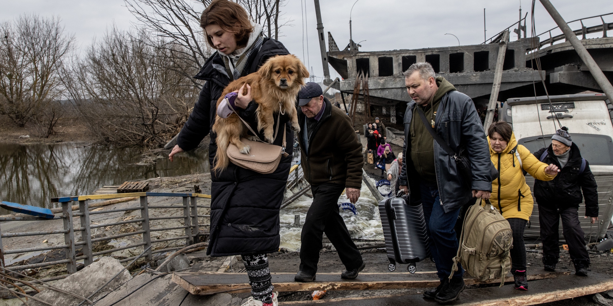 Vets for Ukraine, il sito per aiutare uomini e animali in fuga dall’Ucraina