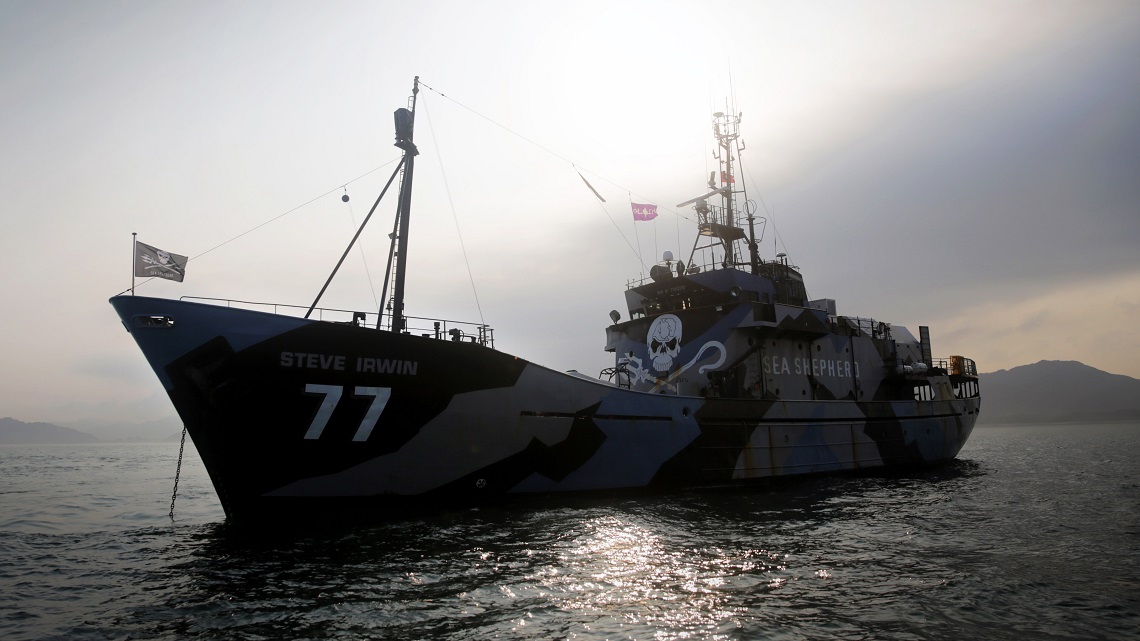 Sea Shepherd salpa per bloccare le baleniere giapponesi in Antartico ...