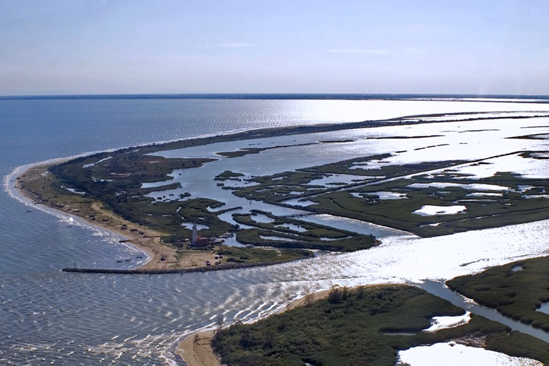 Perché il delta del Po deve diventare parco nazionale - LifeGate