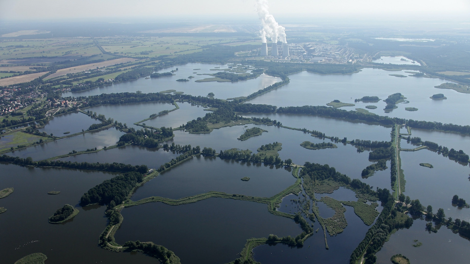 Dalla lolla di riso un materiale adatto al contatto con gli alimenti ...