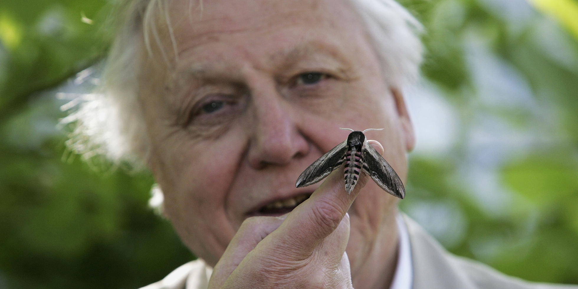 David Attenborough potrebbe andare in pensione. E con lui i suoi viaggi ...