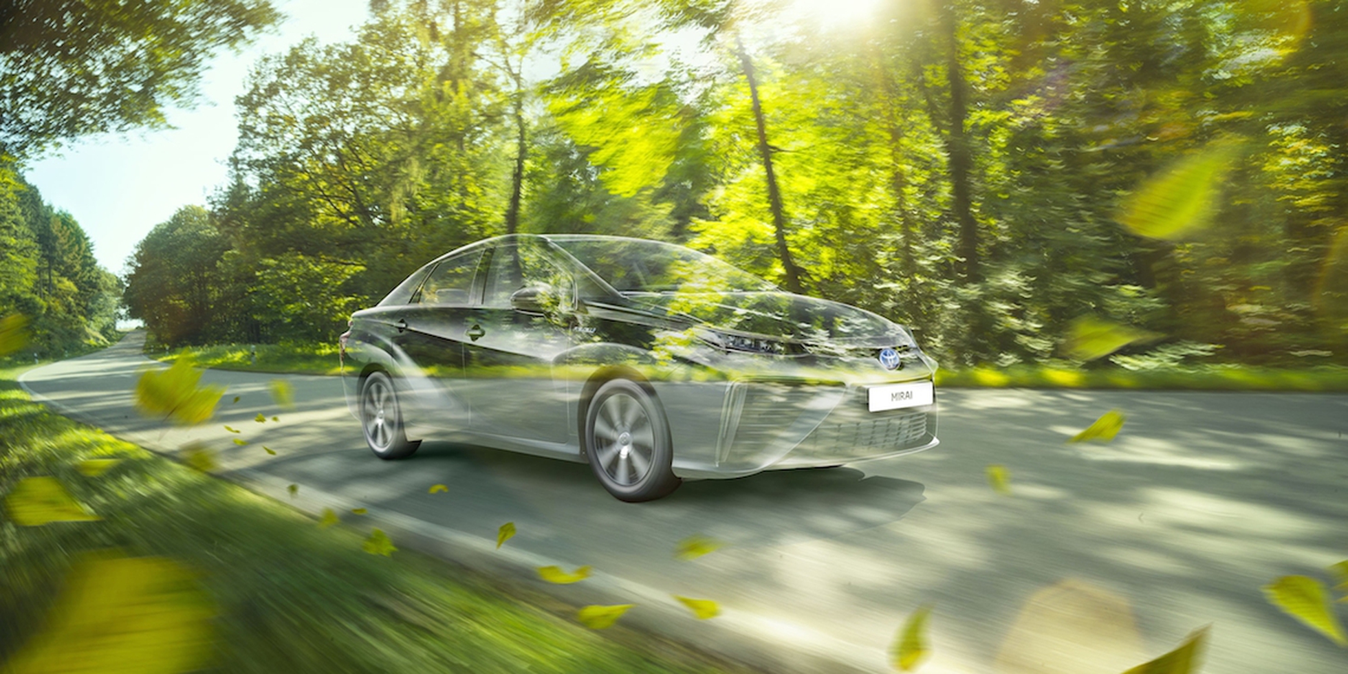 Toyota per la sostenibilità: le iniziative della Green Month Campaign ...