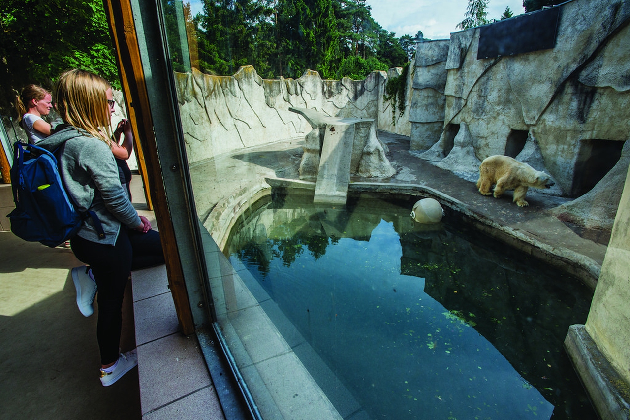 Animals in European zoos - in pictures - LifeGate