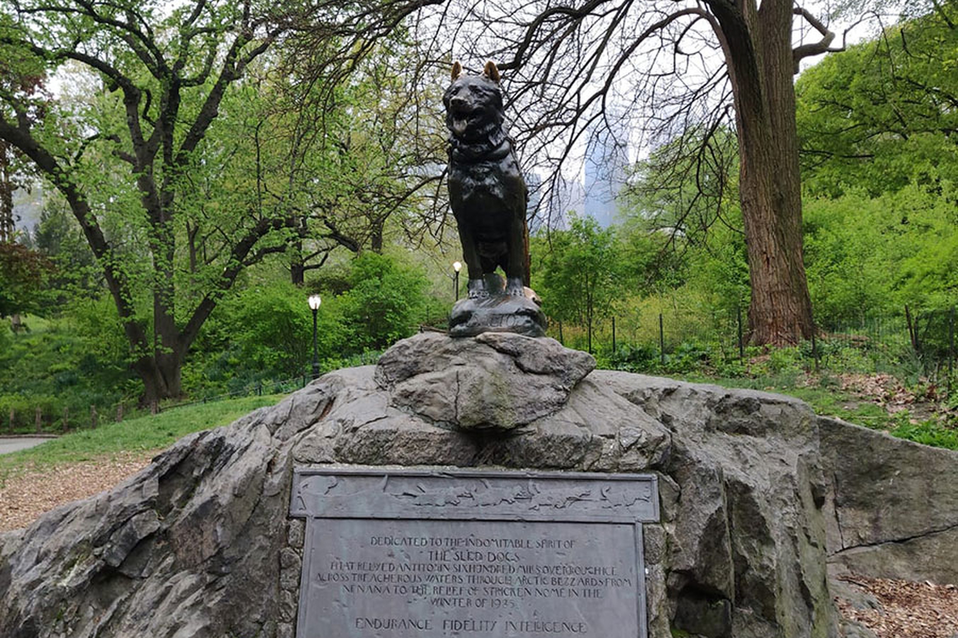 Siberian husky, il cane da slitta che ama gli esseri umani - LifeGate