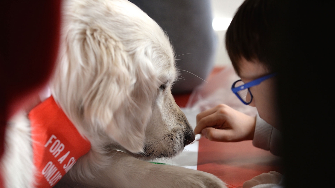 “Basta una zampa” e la dog therapy arriva nelle scuole - LifeGate