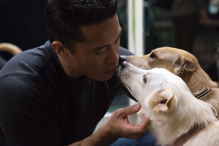 Activist frees 1,000 dogs from the dog meat festival in Yulin
